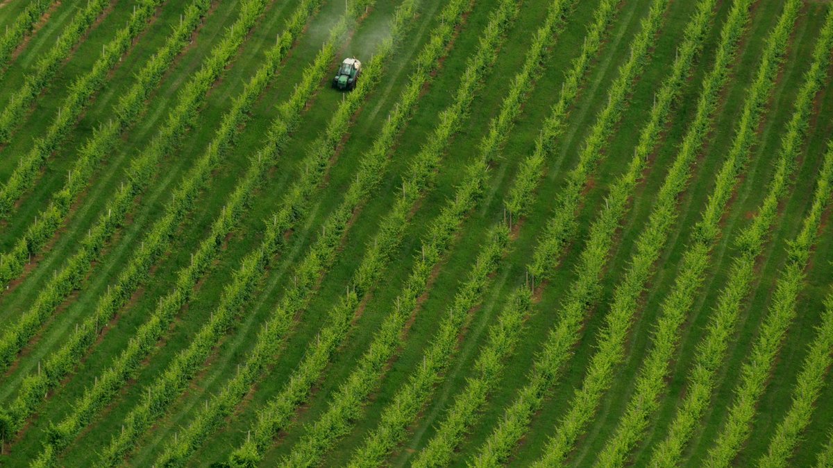 Update | SPS Changes as part of BTOM